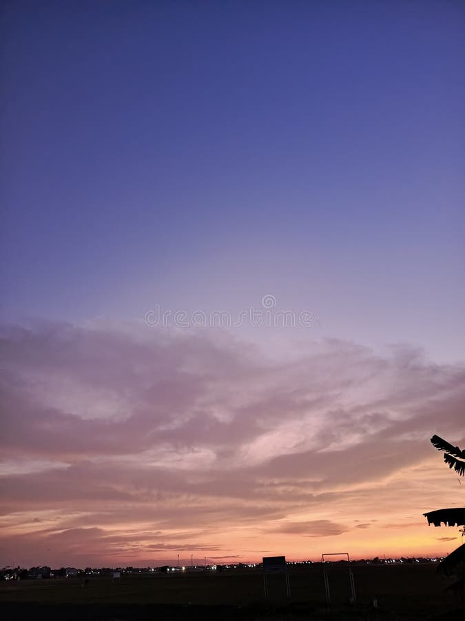 Sunset on the Edge of the Rice Fields Stock Photo - Image of edge ...