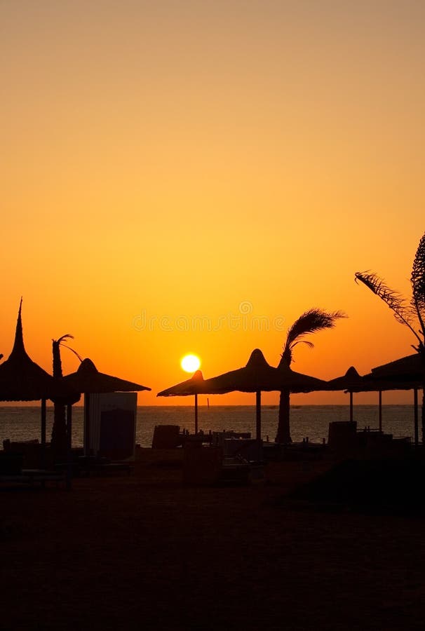 Sunset in Egypt stock photo. Image of sunset, sunny, holidays - 11050328