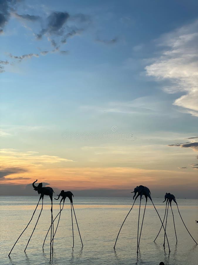 Sunset with elephants stock image. Image of vietnam - 364272447