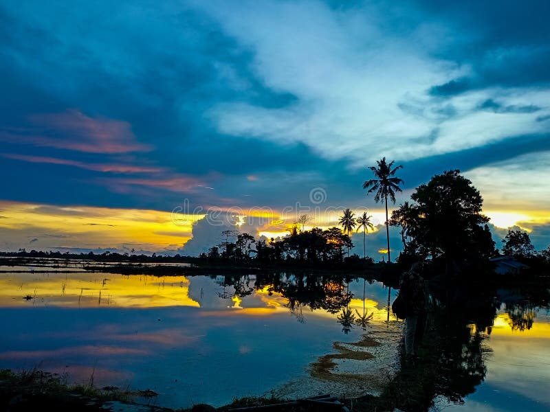 Sunset on the Empty Rice Field Stock Photo - Image of field, sunset ...