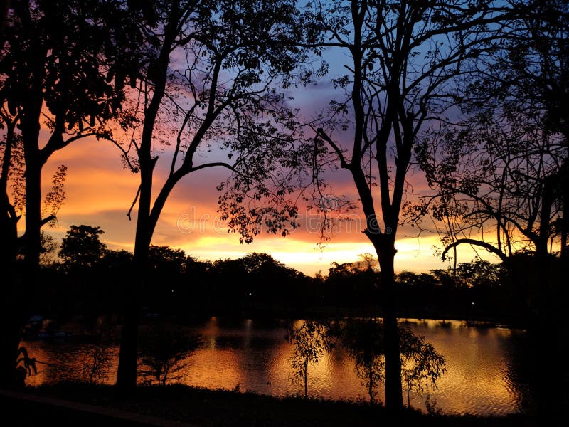 Sunset Evening Behind Shadow Black Tree Stock Photo - Image of ...