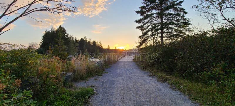 Sunset evening nature walk stock image. Image of sunlight - 231871681