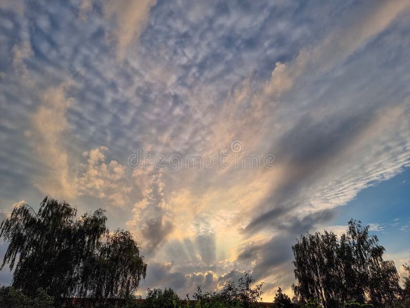 Sunset or Evening Sky with Clouds Lighted by Visible Sun Rays Stock ...