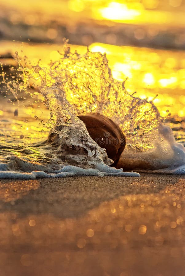 Sunset stock photo. Image of alone, cloud, field, road - 39831002