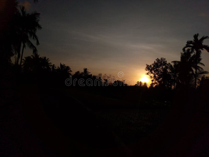 Sunset Evening Tree Panorama Gold Stock Photo - Image of panorama, tree ...
