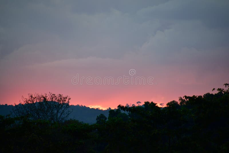 Sunset at evening stock image. Image of natural, forest - 81327687