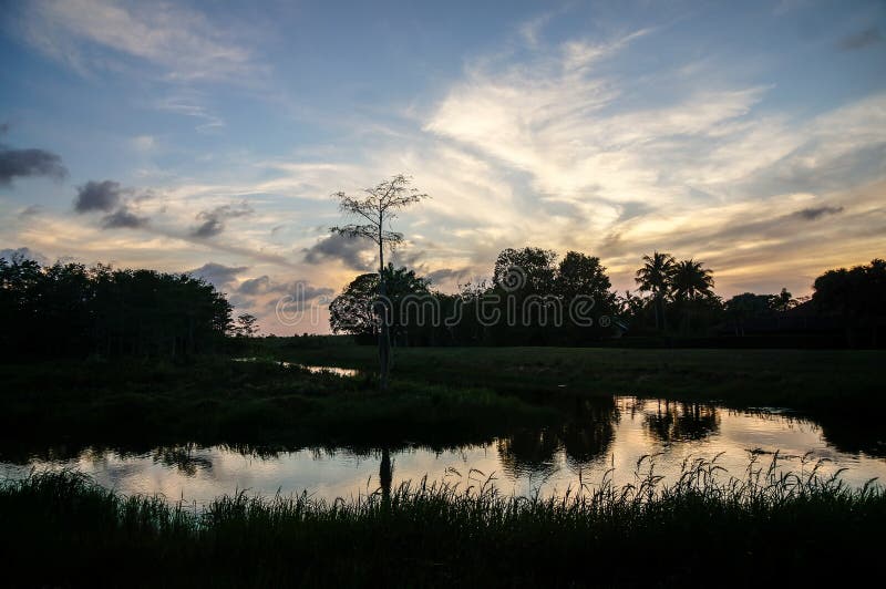 River in the Swamp at Sunset Stock Image - Image of glowing, orange ...
