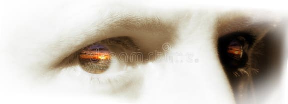 Sunset eyes stock photo. Image of clouds, scan, capture - 2963810