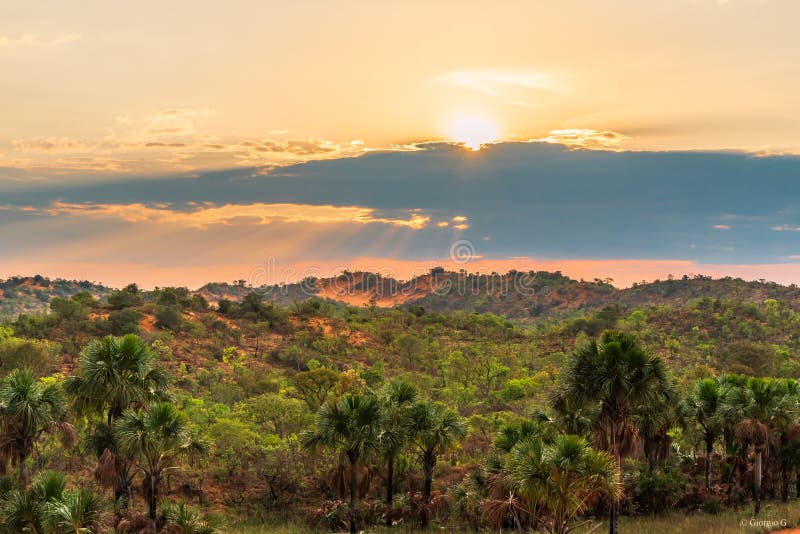 Sunset Falling Over the Wild Fields of Jalapao National Park in Brazil ...