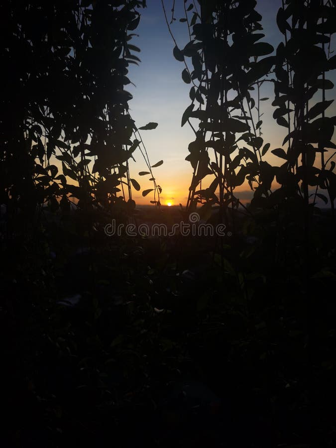 Sunset from far away stock image. Image of morning, yellow - 263384167