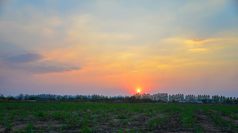Sunset Farm stock photo. Image of hill, farm, rural, field - 50838374