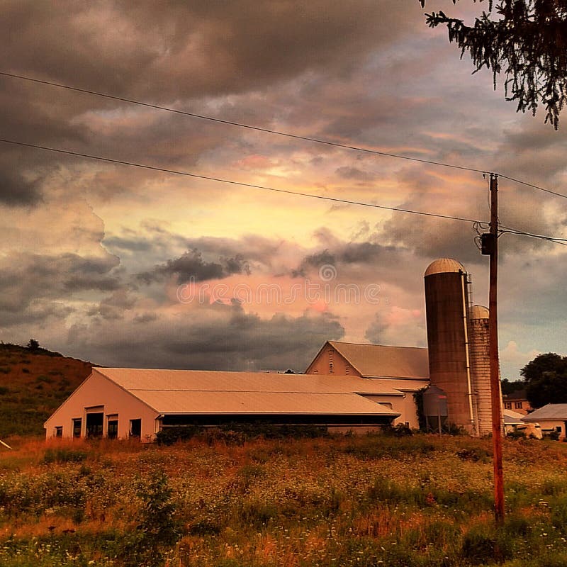 Sunset on the Farm stock photo. Image of sunset, summer - 59685132