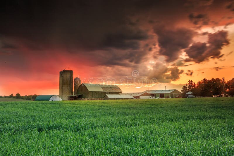Sunset on the Farm stock image. Image of canada, pana - 94633613
