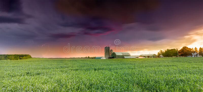 Sunset on the Farm stock photo. Image of enjoy, patricks - 94633920