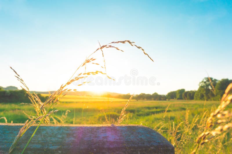 Sunset on the farm stock image. Image of house, agriculture - 95008977
