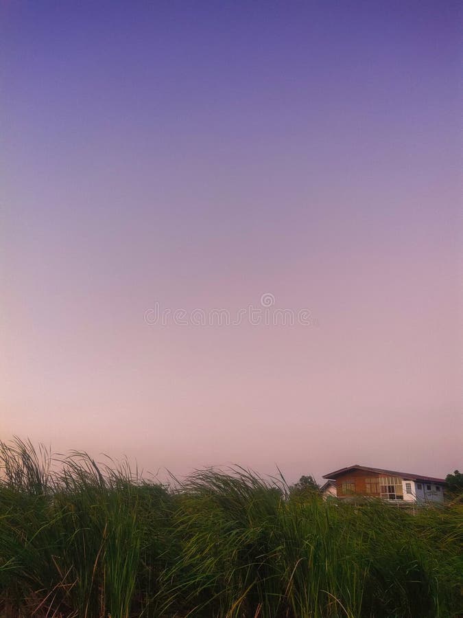 Sunset of Farm House Next To the Fields with a Cool Atmosphere Stock ...