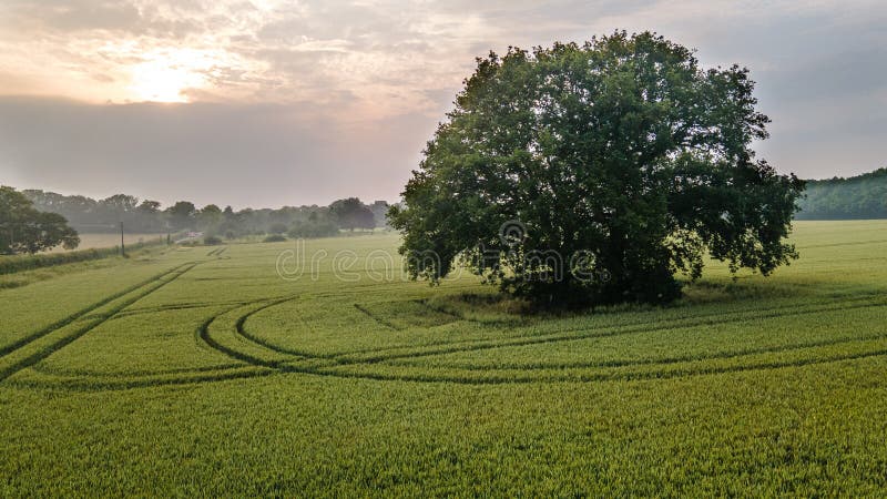 Sunset by the farm land stock photo. Image of cloud - 227693778