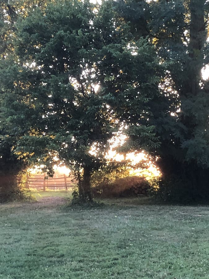 A farm in Ohio stock photo. Image of side, farm, tremont - 76970622