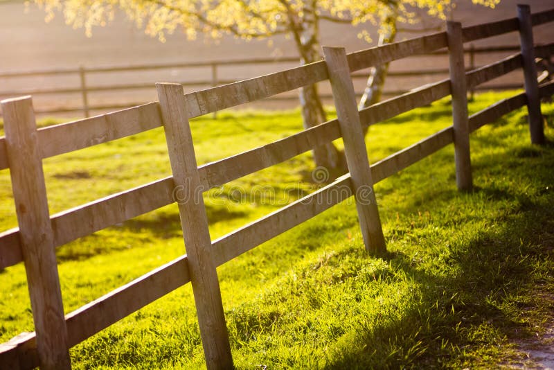 Fenceline and Trees stock photo. Image of serene, farm - 18551176