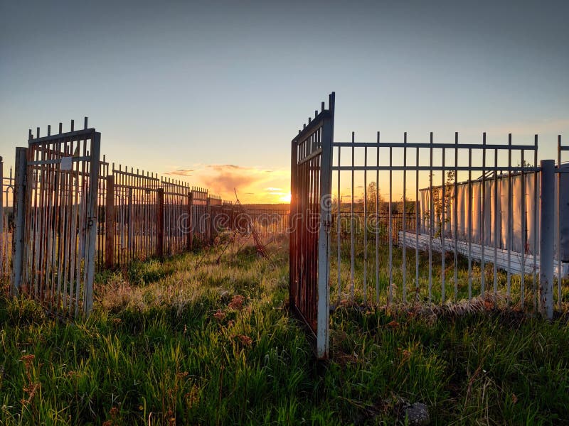 Sunset fence grass stock image. Image of tree, fence - 183774847
