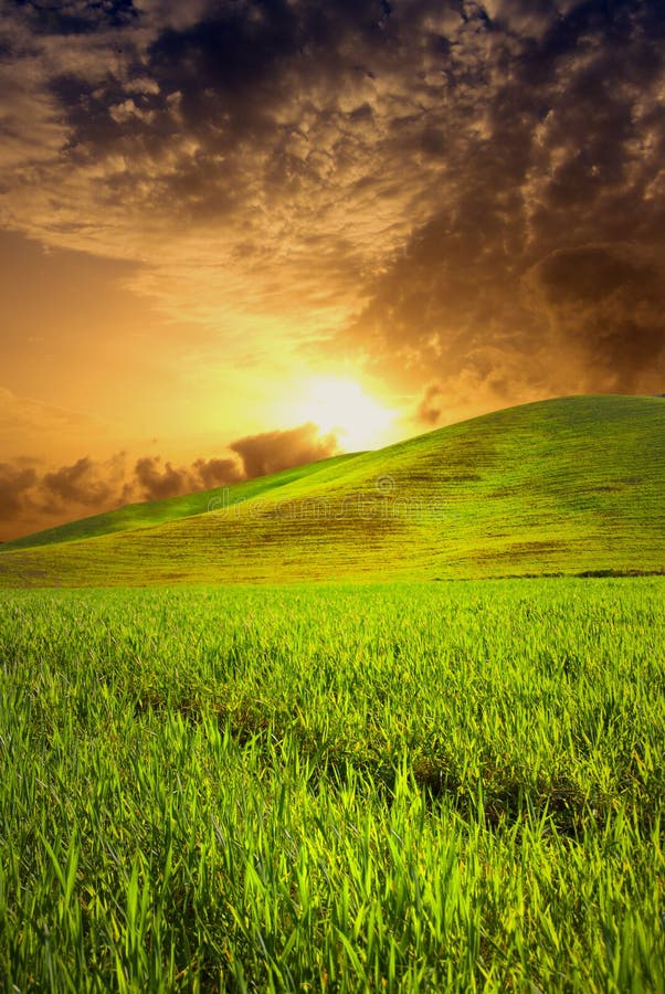 Sunset on a field stock image. Image of season, cloud - 15134687