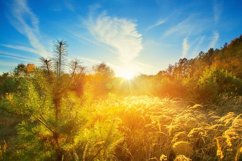 Sunset and field stock image. Image of season, bright - 28861861