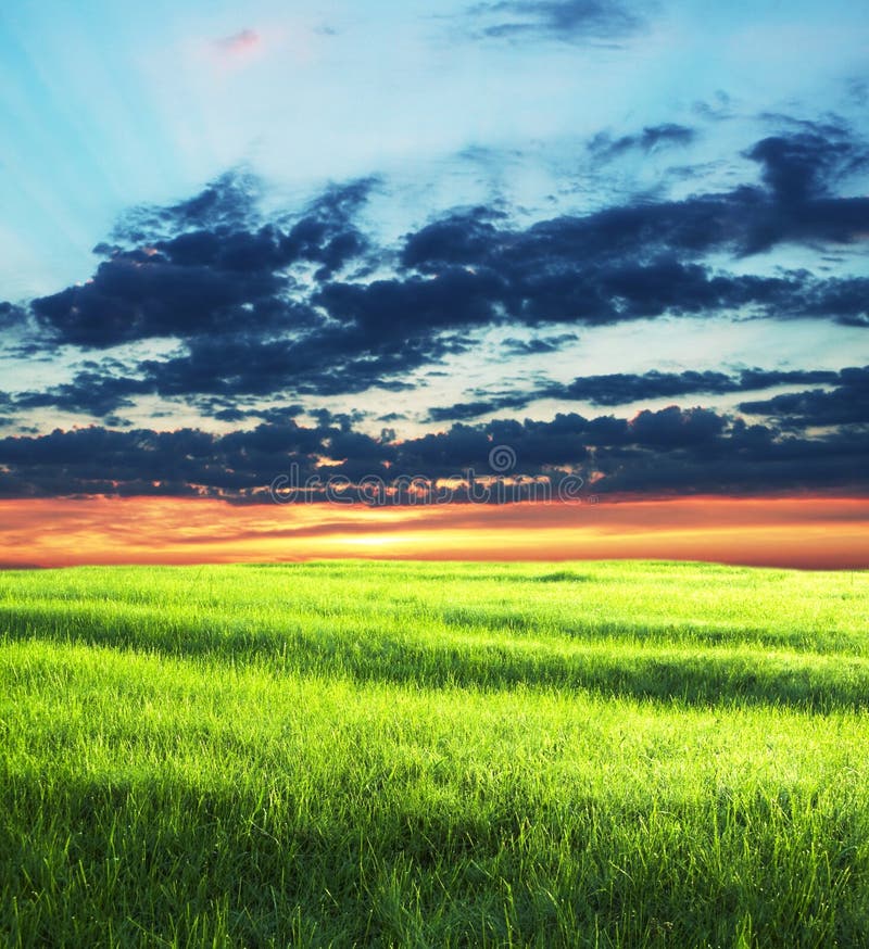 Sunset in field stock photo. Image of environment, country - 6454884