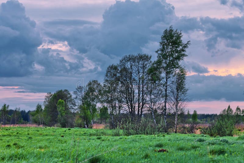 Sunset field stock image. Image of color, beautiful, dusk - 95745941