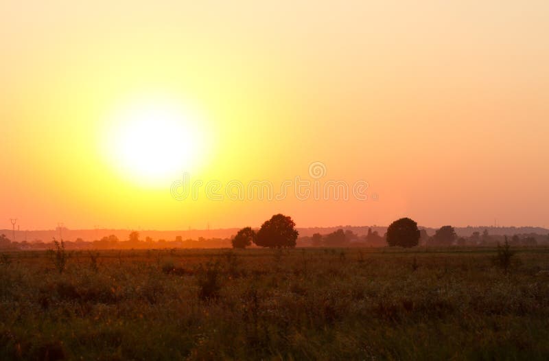 Sun rising over the field stock photo. Image of morning - 32934182