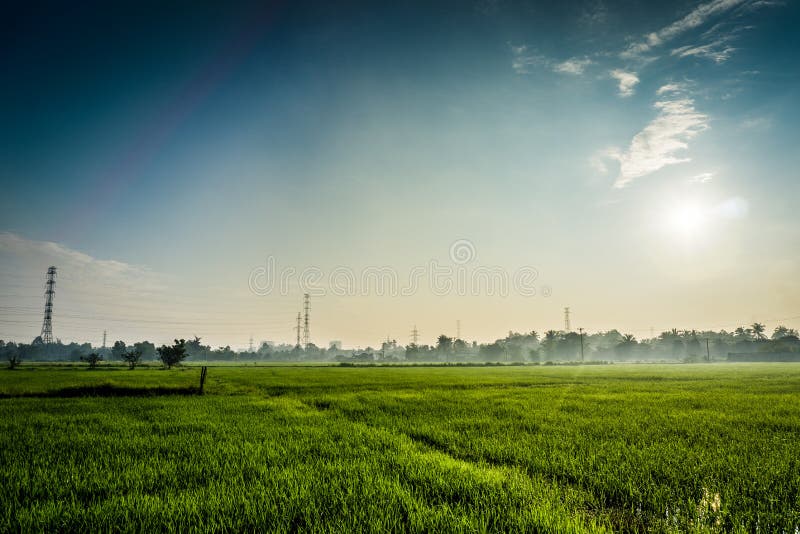Sun setting on hay field stock photo. Image of crop, natural - 15269468