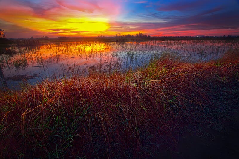 Sunset on field stock image. Image of countryside, dramatic - 47533881