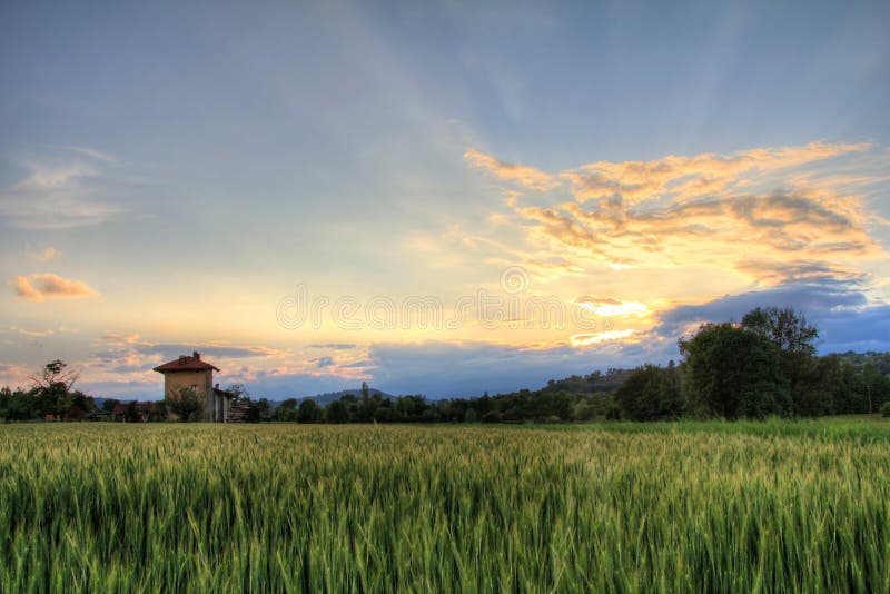 Sunset in the fields stock image. Image of sunset, country - 24728967
