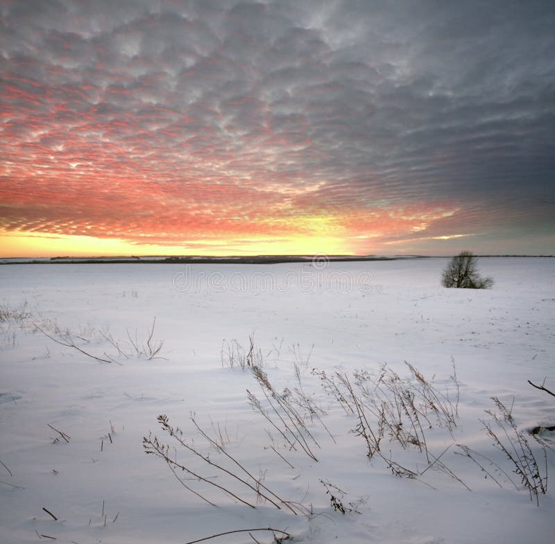 Sunset in the fields stock image. Image of fall, leaf - 7743981