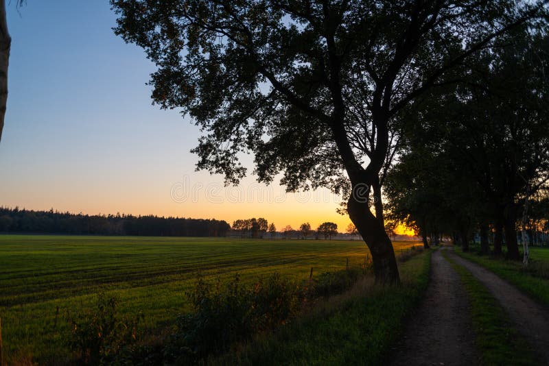 A Sunset between the Fields on a Forest Path in Autumn Stock Photo ...