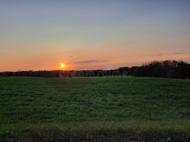 Sunset on fields of grass stock photo. Image of grass - 255665666