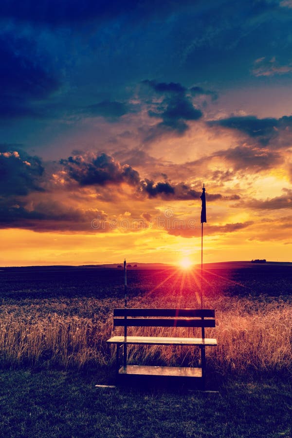 Sunset in fields in summer stock image. Image of field - 42753683