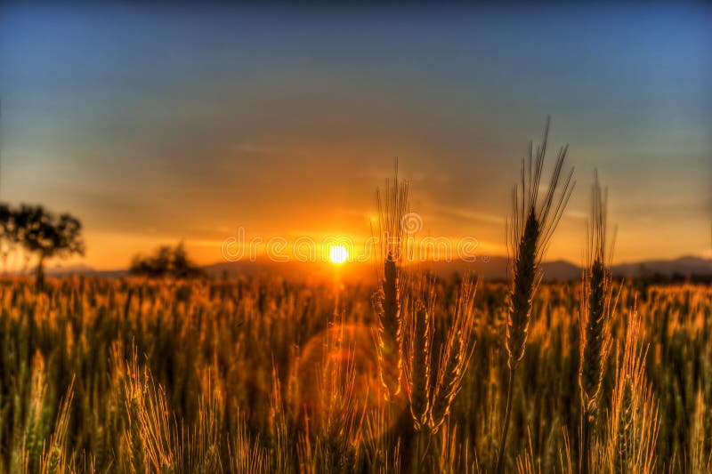 SUNSET FIELDS stock photo. Image of colour, foggy, mountain - 40366406