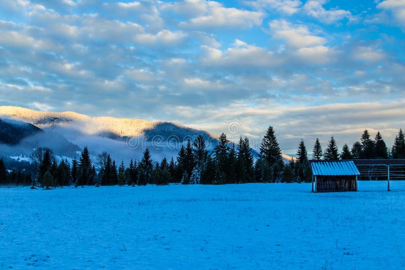 Sunset after the First Snowfall Stock Photo - Image of fall, forest ...
