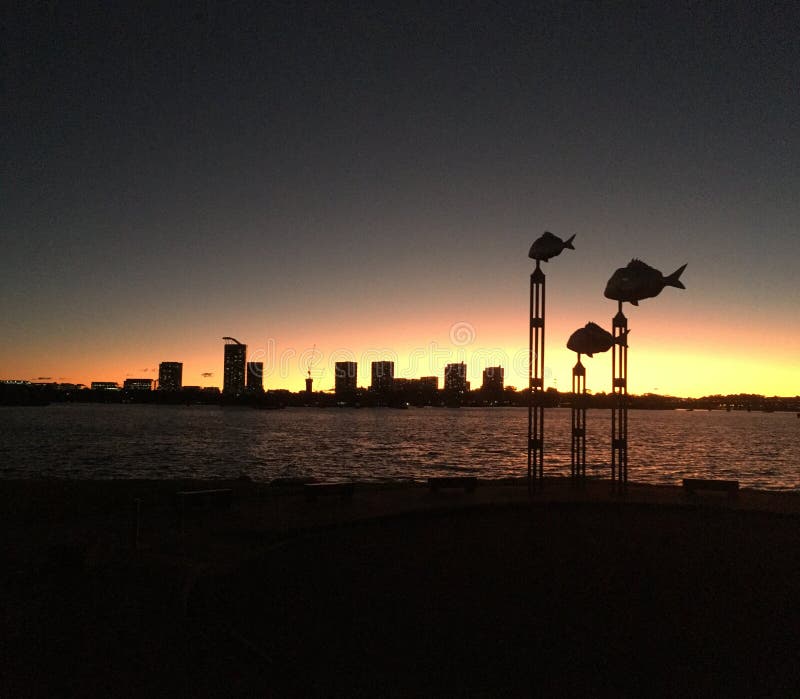 Sunset with fish stock image. Image of sunset, fish - 263293505