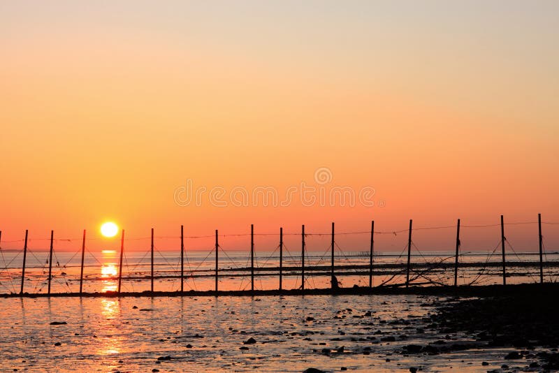 Sunset and Fishing Stakes stock image. Image of calm, supports - 7646495