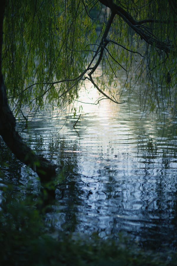 Sunset Flare on the Water in the Lake. Stock Image - Image of beauty ...