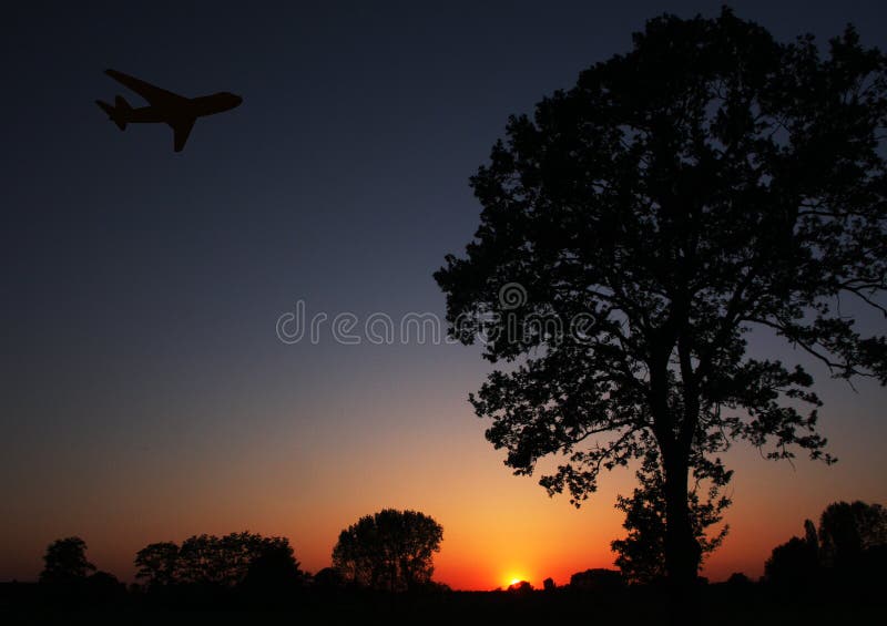 Sunset flight stock photo. Image of calming, confidence - 5913332