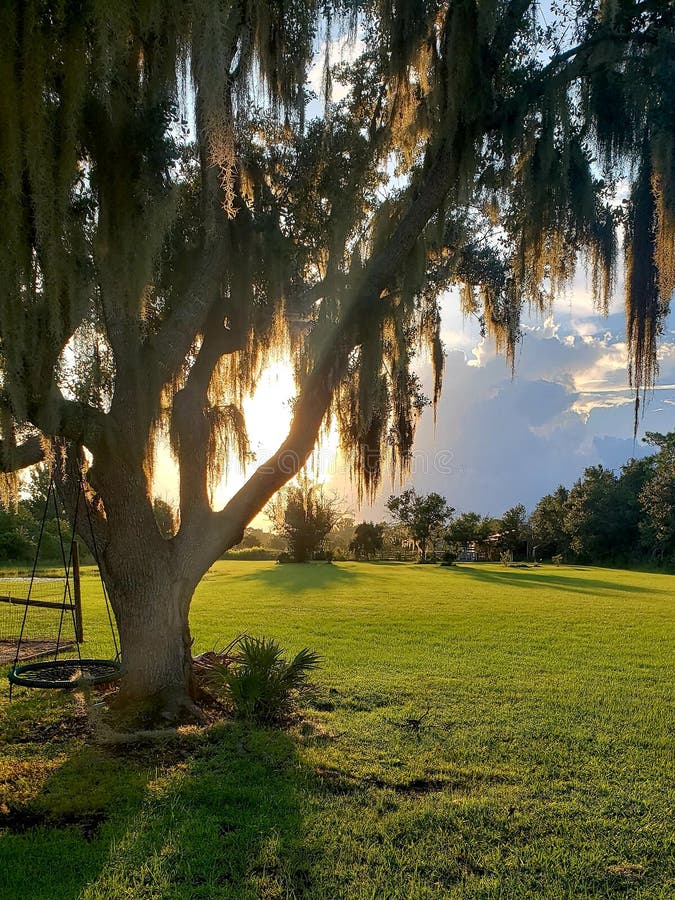 Sunset in florida? stock photo. Image of country, beautiful - 130371964
