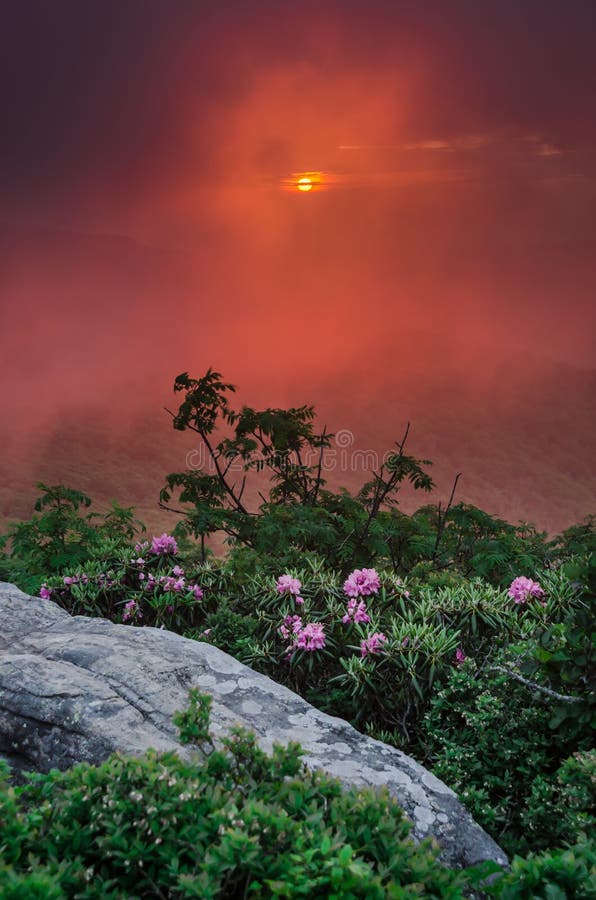 Sunset through the Fog on Jane Bald Stock Photo - Image of hiking, bald ...