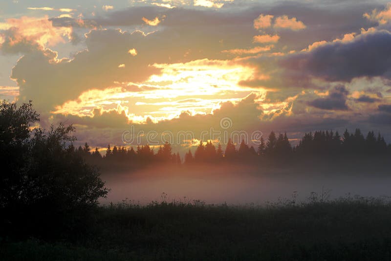 Sunset in the fog stock image. Image of russia, forest - 146821611