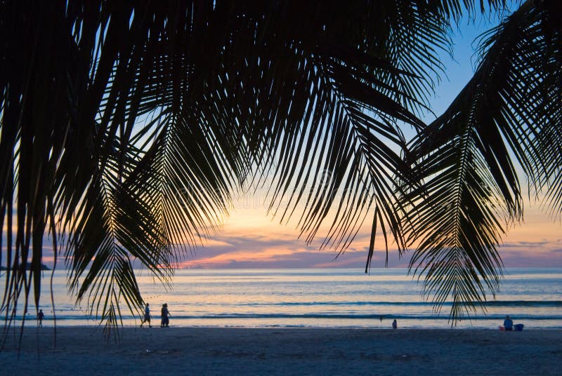 Sunset foliage stock image. Image of night, pink, outdoors - 5187175