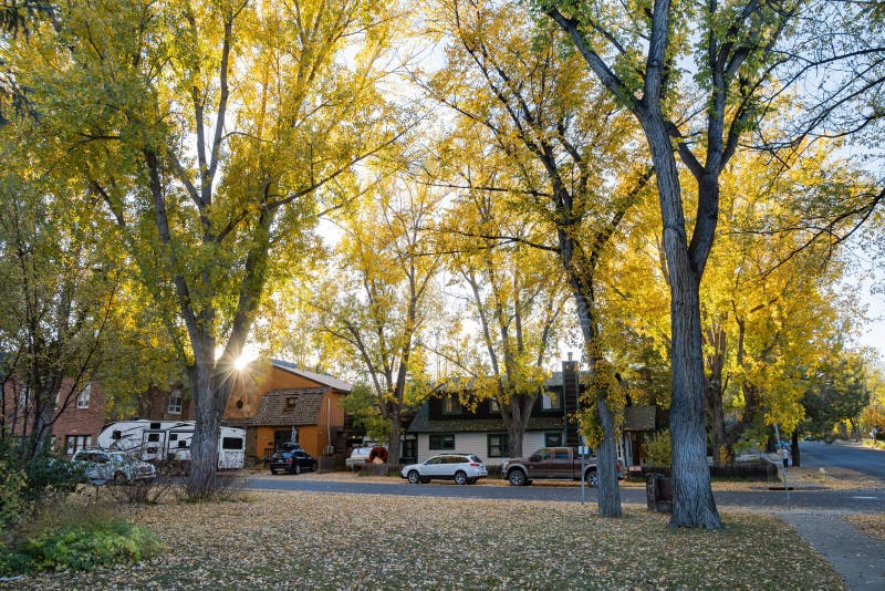 Sunset Foliage Around Wheeler Park Stock Image - Image of urban ...