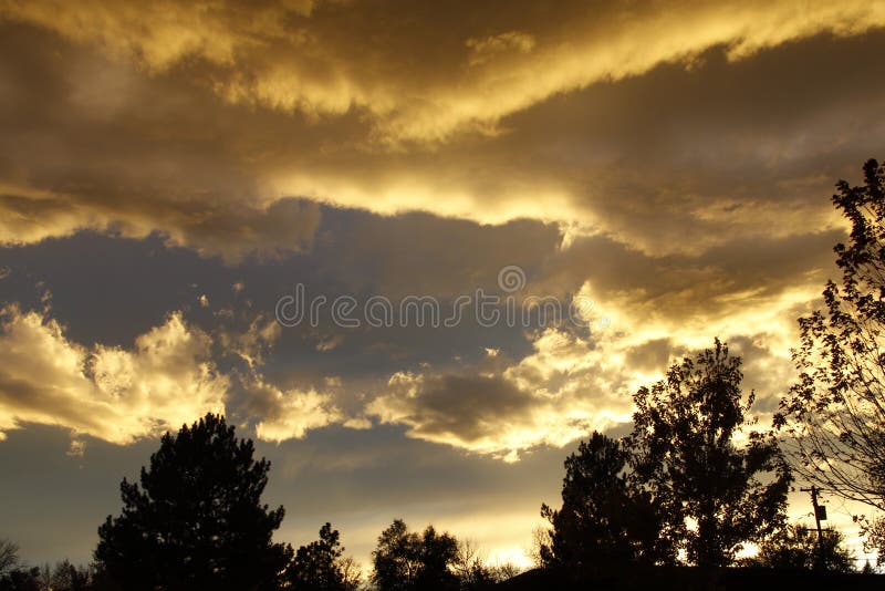 Sunset in forest stock image. Image of brown, view, colorado - 49396909