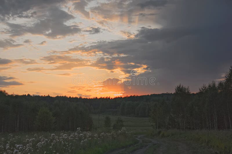 Sunset at the forest edge stock image. Image of green - 115184071