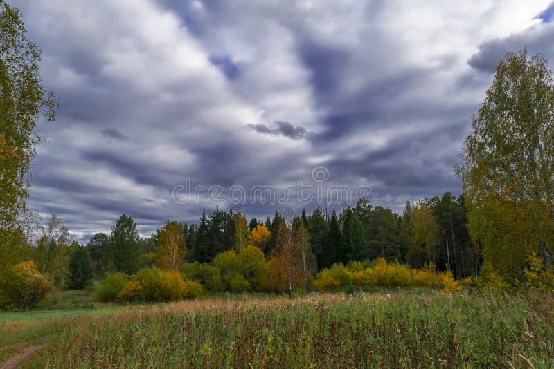 Sunset at the Forest Edge. Autumn Landscape Stock Photo - Image of dark ...